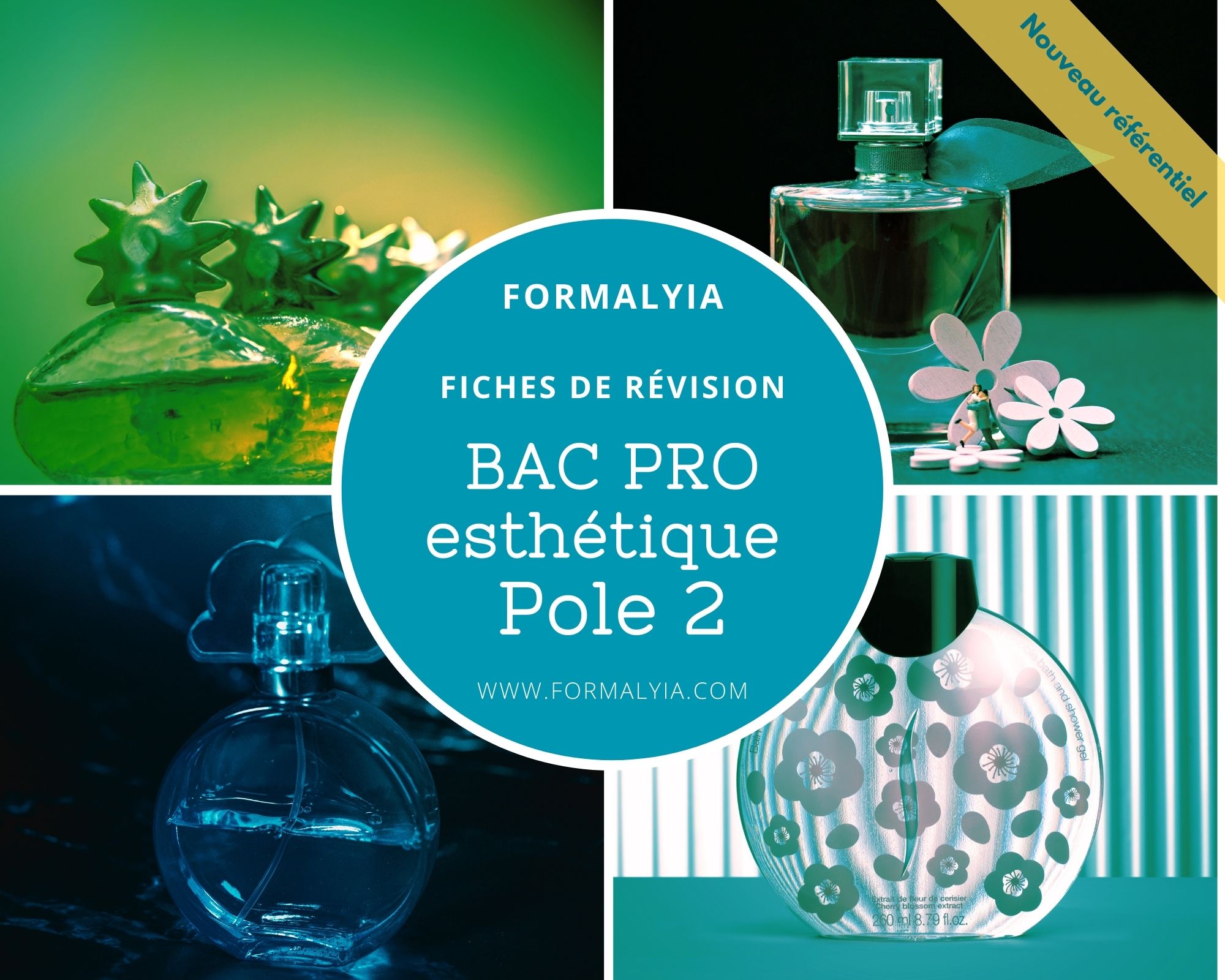 Bac Pro Esthétique nouveau référentiel | Formalyia